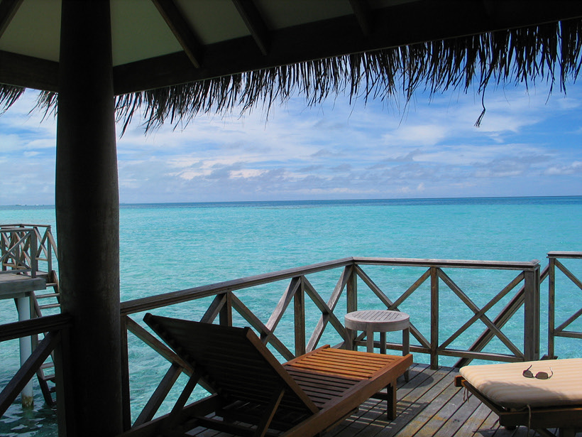 TPHOLIC - 자유게시판 - T40팬교체가격... 좌절입니다.