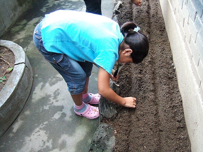 TPHOLIC - 자유게시판 - 처녀 농군...