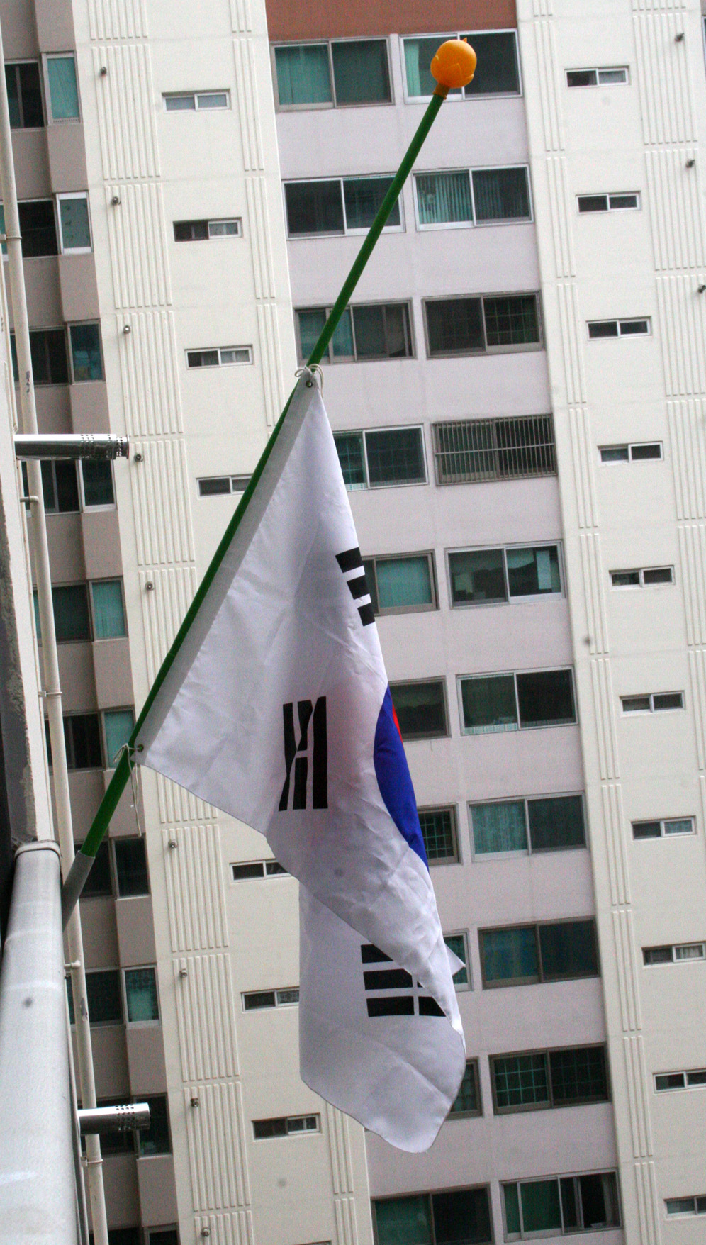 TPHOLIC - 자유게시판 - 조기