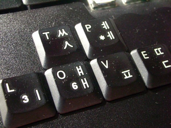 TPHOLIC - 자유게시판 - T P L O V E