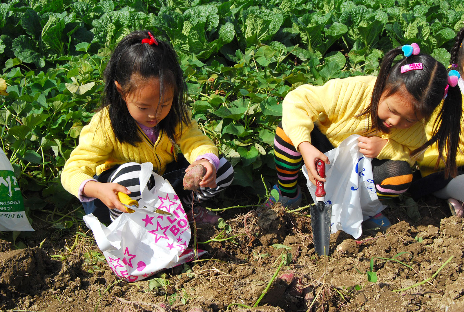 TPHOLIC - 자유게시판 - 오늘의 유치원 사진은...