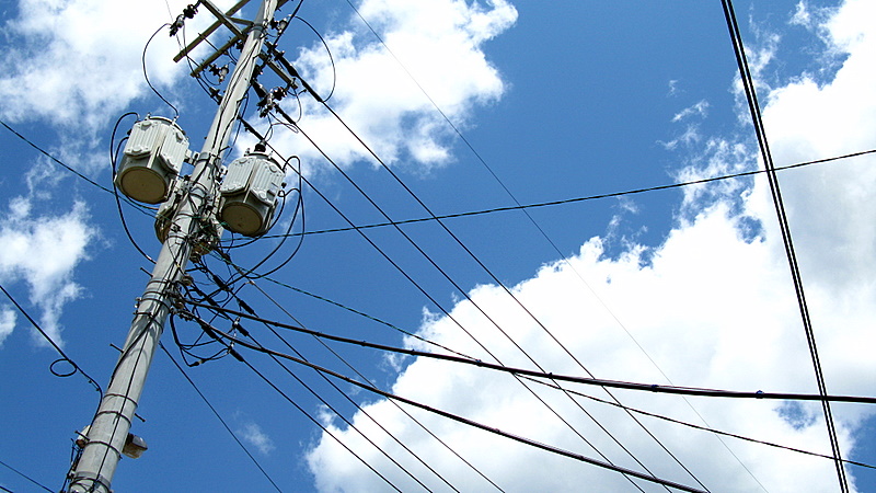 TPHOLIC - 패밀리앨범 - 점심 기다리다가