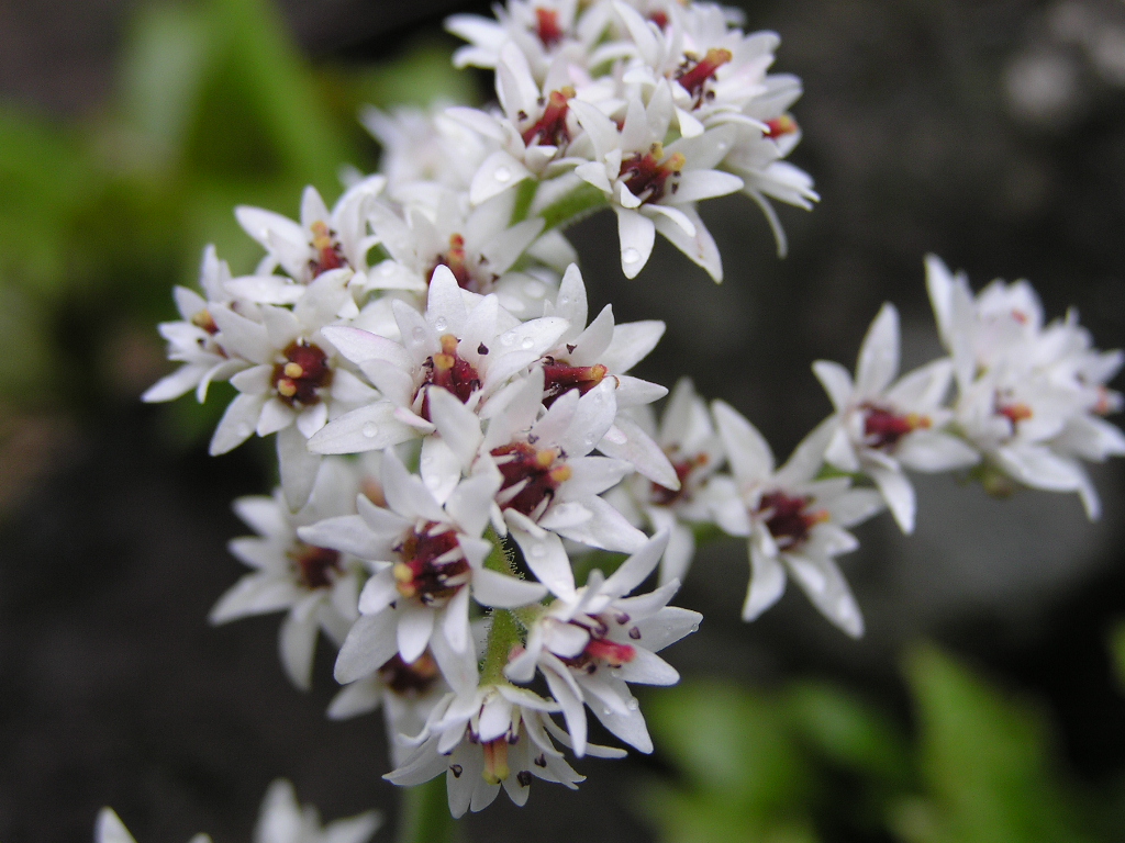 TPHOLIC - 자유게시판 - (방송중) 다이킹의 7080음악다방 열렷습니다..^^